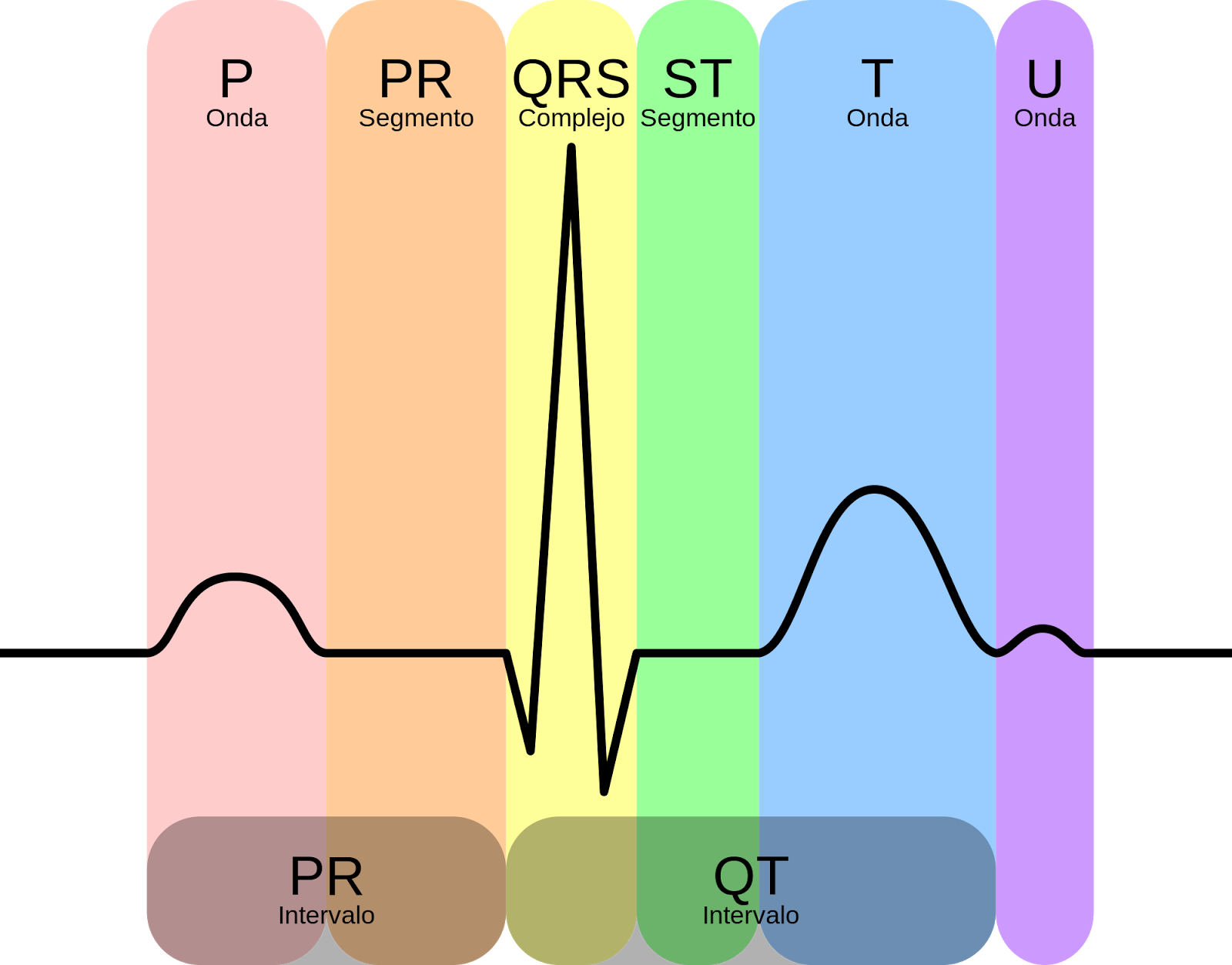 Eletrocardiograma: Como Funciona e Interpretação - Biomedicina Online
